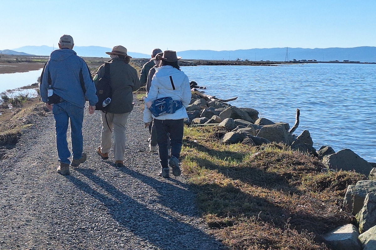 Shoreline tides walk combines science and nature | Tri City Voice