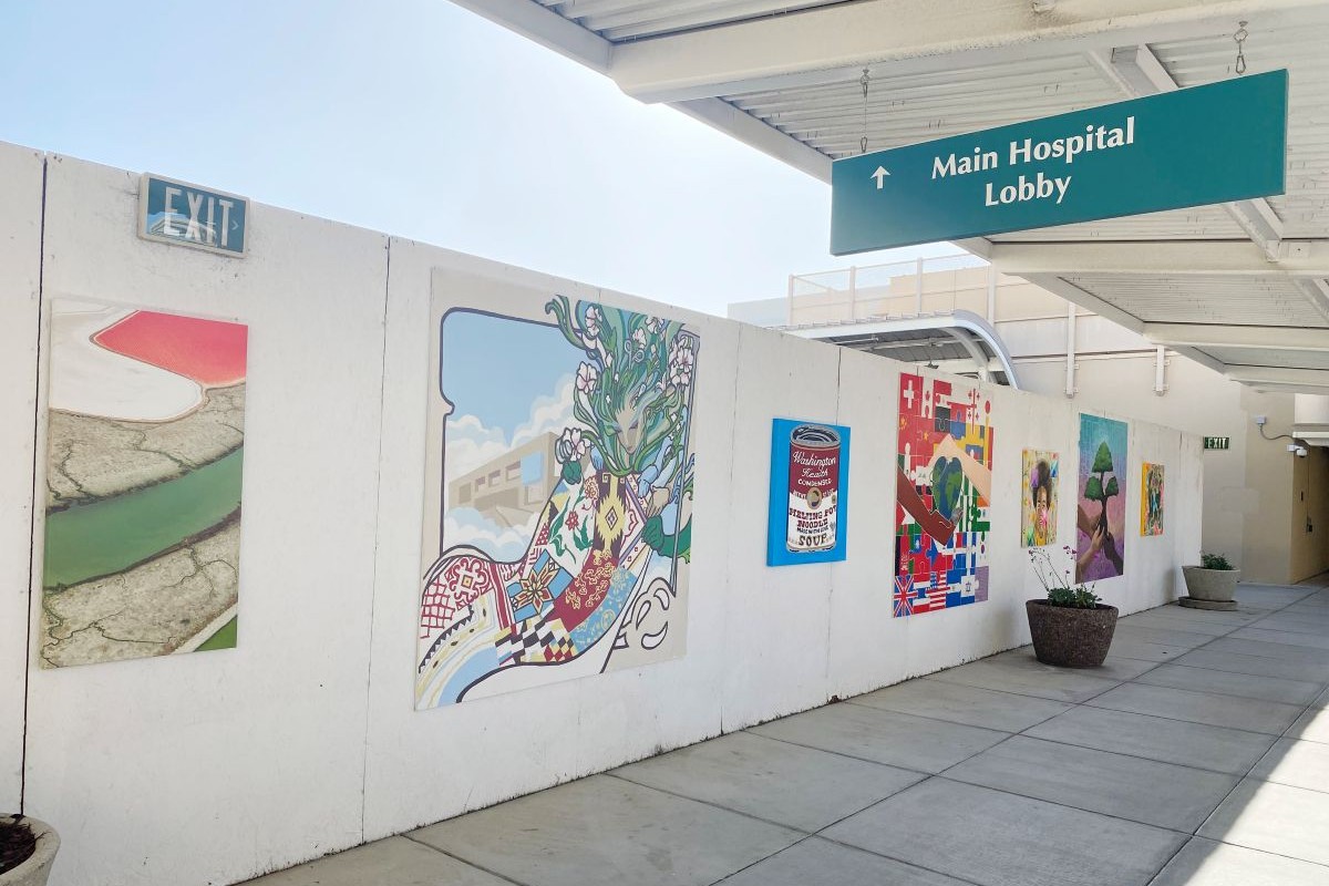 Student and community member art arrives at Washington Health | Tri ...