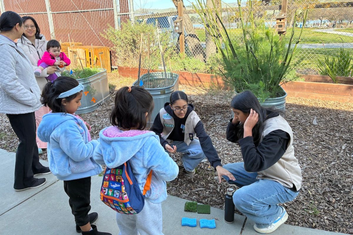 Girl Scouts campaign against artificial turf | Tri City Voice